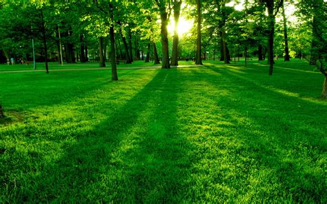 Concepto De Conservación Del Medio Ambiente Y Tipos