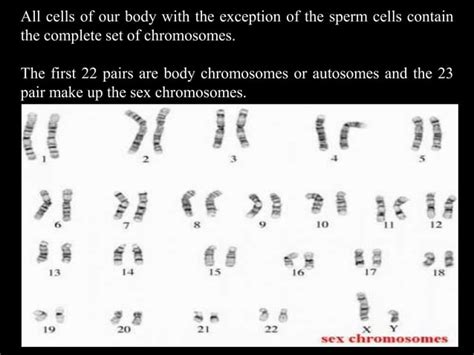 Heredity Inheritance And Variation PPTX Biological Sciences Science
