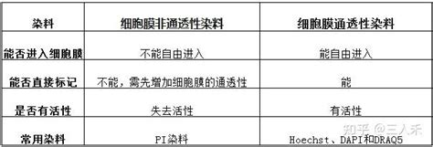 流式细胞术的学习（13） 检测细胞周期 知乎