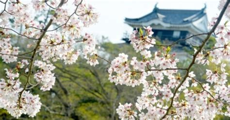 移住プランナー｜ 田舎暮らし｜プロ｜｜note
