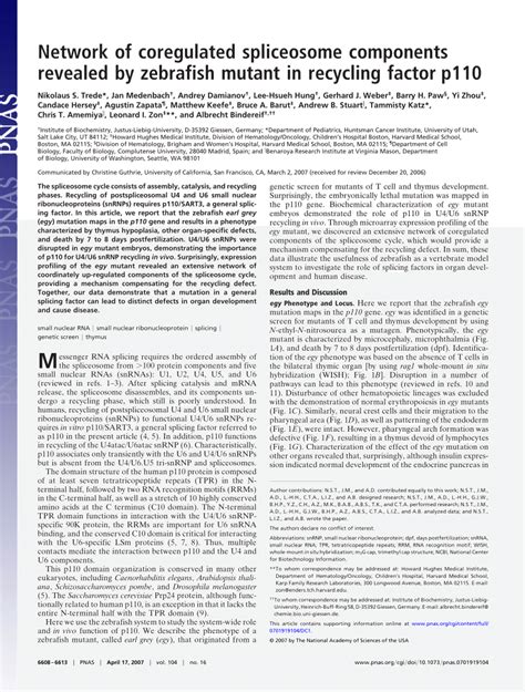 Pdf Network Of Coregulated Spliceosome Components Revealed By