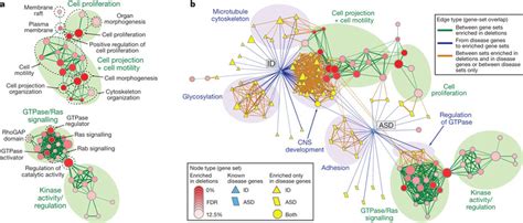 A Functional Map Of Asd Enrichment Results Were Mapped As A Network Of Download Scientific