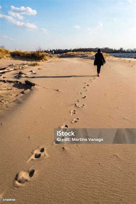 바람이 많이 부는 해변에서 모래위를 걷고 있는 익명의 사람 걷기에 대한 스톡 사진 및 기타 이미지 걷기 꽃 식물 라트비아