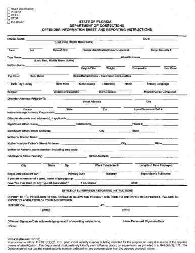 Felony Probation Doc Information Sheet And Written Monthly Report