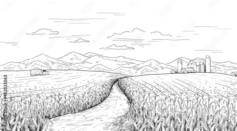 Pencil Drawing For Agriculture At Terry Rousseau Blog