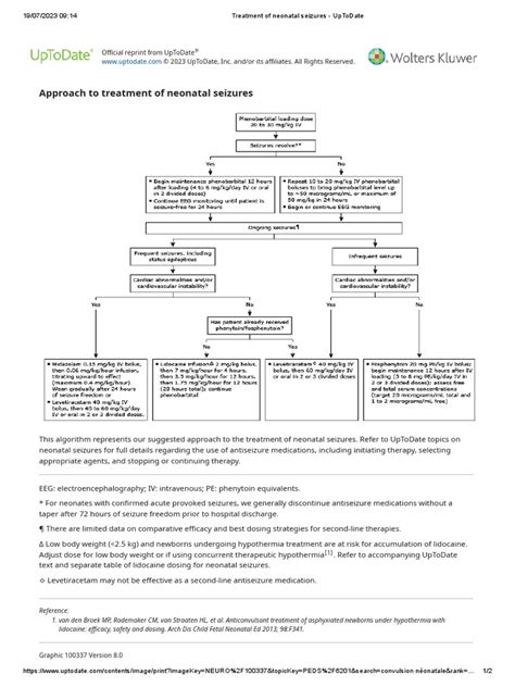 Algorithme Treatment Of Neonatal Seizures Uptodate Pdf Science