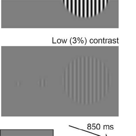 Experimental Design Three Different Sizes And Two Luminance Contrasts