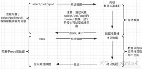 Linux高并发服务器开发—项目实战 知乎