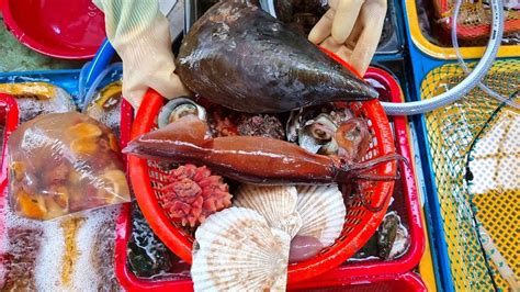 Amazing Assorted Korean Seafood Sashimi Penis Fish Octopus Abalone