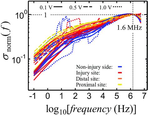Frequency Dependence Of Nerve σ Normalized By σ F 16 Mhz