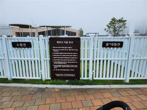 부산 무료 애견 운동장 기장 메종동부산 반려견 놀이터 강아지 펫파크 네이버 블로그