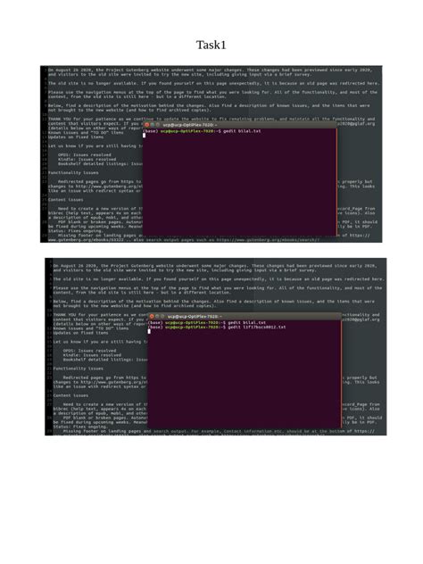 lab 2 pdf