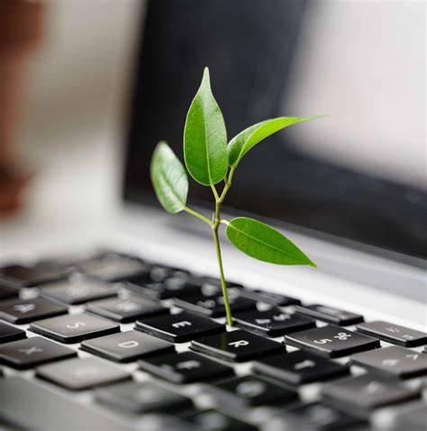 Inteligência Artificial E Sustentabilidade Como A Tecnologia Pode