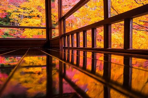 Zekkei Japan