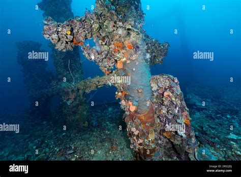 Mast Cargo Boom Kyokuzan Maru Underwater Wreck Thick Vegetation