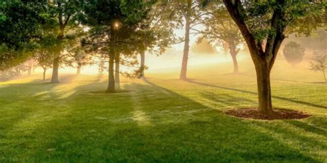Hints And Tips Using The Nokta Legend Metal Detecting For Park And