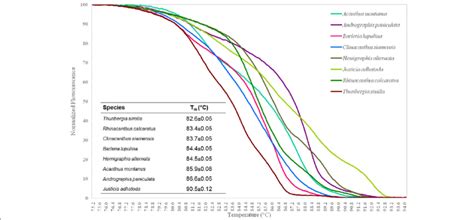 The Normalised Plot Shows The Differentiation Of Melting Temperature T