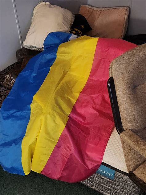 Pansexual Flag By Foxlove944 On Deviantart