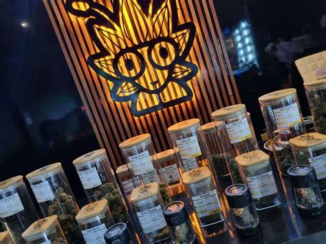 Cannabis Consulting And Franchising High Thai Weed Bangkok