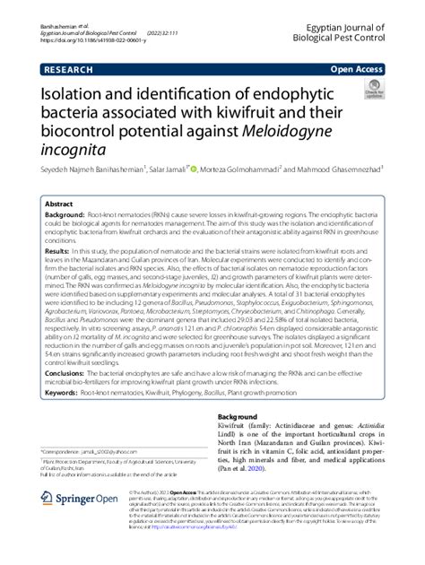 Pdf Isolation And Identification Of Endophytic Bacteria Associated With Kiwifruit And Their