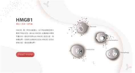 抗体 抗体对 ELISA試剂盒 arigobio