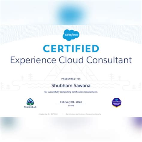 Shubham Sawana On Linkedin Salesforcedevelopers Salesforcecommunity
