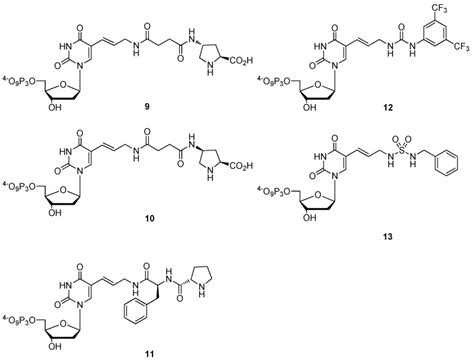 Nucleoside Triphosphates — Building Blocks For The Modification Of Nucleic Acids Pmc