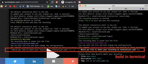 Support Bold Typeface · Issue 95 · Faressoftterminalizer · Github