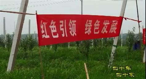 慶祝改革開放40周年大型系列紀錄片《四十年 四十家》：（三十八）果鄉新農人 每日頭條