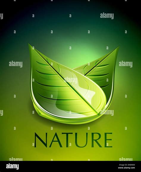 Vector Abstract Green Leaf Composition Stock Vector Image And Art Alamy