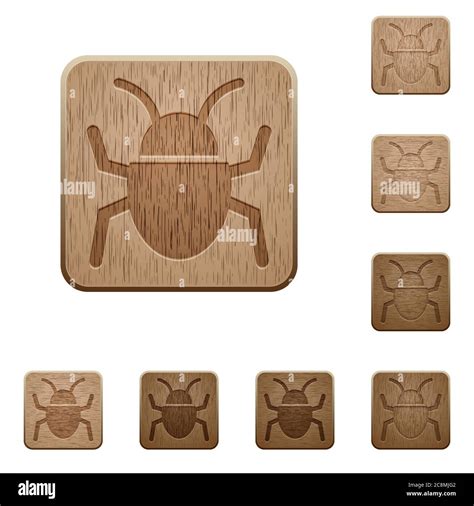 set of carved wooden bug buttons in 8 variations stock vector image