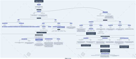 Mapa Conceptual Del Tejido Conectivo Esquemas Y Mapas Conceptuales De