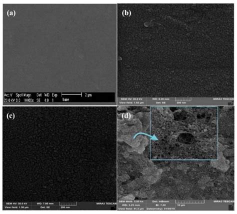 Nanomaterials Free Full Text Electrochemical Sensors Based On Conducting Polymers For The
