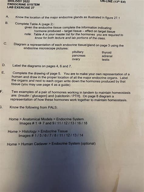 Solved BIOLOGY ENDOCRINE SYSTEM LAB EXERCISE A Know Chegg Com