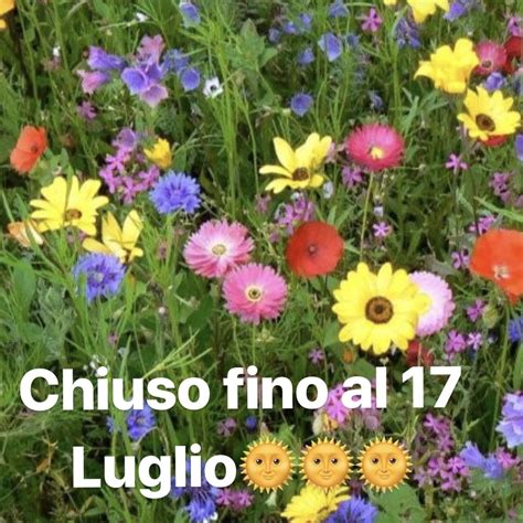 Buongiorno🌞 Come Avevo Gia Annunciato Giorni Fa Depop