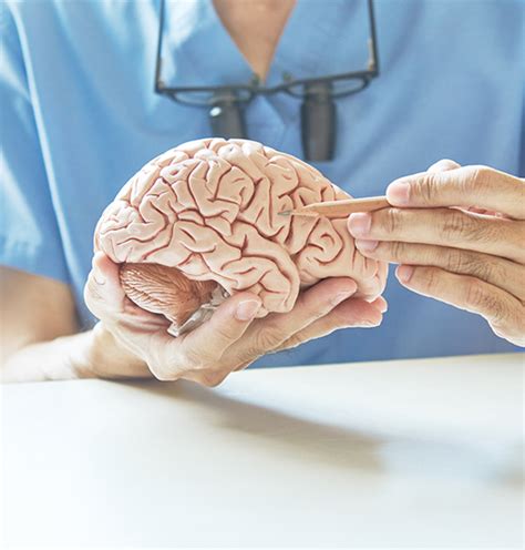 سایت رسمی دکتر مریم نوروزیان