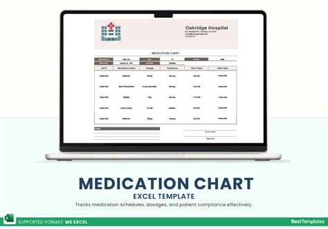 Medication Chart Excel Template Best Templates