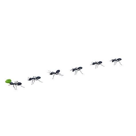 Ant 3d Rendering 11812467 Png