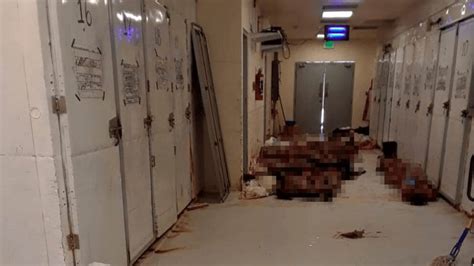 El Terror En Tijuana Colapsó La Morgue Hay Cuerpos Y Miembros