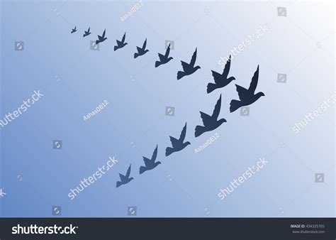 Flock Group Birds Flying Shape Triangle Stock Vector Royalty Free