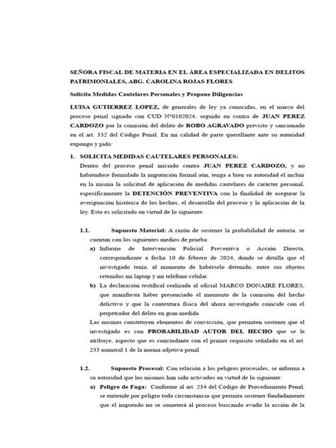 Solicitud Medida Cautelar Pdf