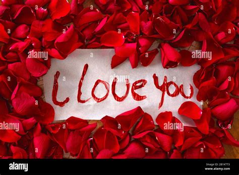 Amazing Collection Of Full 4k I Love You Images With Roses Over 999