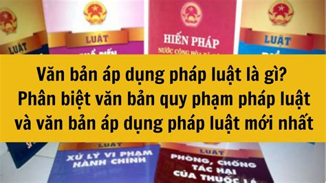 Văn Bản áp Dụng Pháp Luật Là Gì Phân Biệt Văn Bản Quy Phạm Pháp Luật