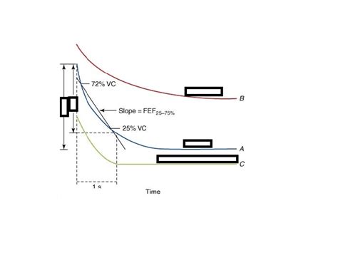 Pulmonary Function Test — Printable Worksheet