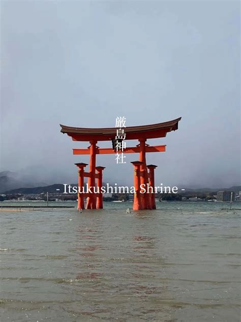 広島の神社厳島神社 วดโอทเผยแพรโดย ピクティア 時を繋ぐ写真 Lemon8