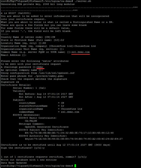 Httpsopenssl Ca Nginx Java Dreamingodd