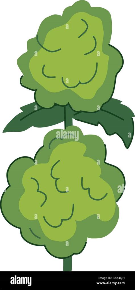 Hemp Weed Bud Cartoon Vector Illustration Stock Vector Image And Art Alamy