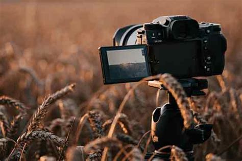 Fujifilm X H2 Autofocus Not Working Fixed