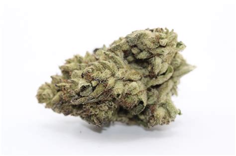 Micki Aaa On Sale Village Greens