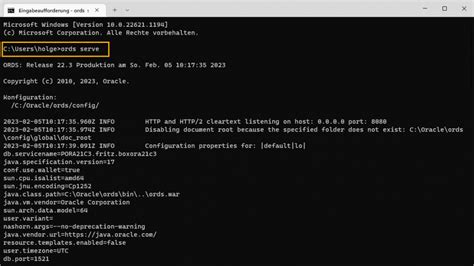 Ords Oracle Rest Data Services